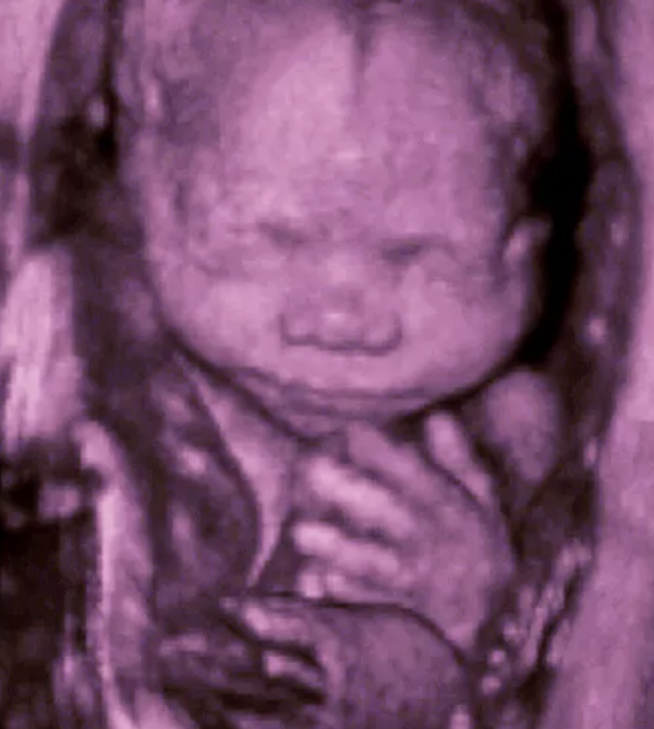 Opportunity Ohio – Opportunity Ohio (O2) is dedicated to enhancing ...